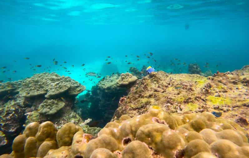 Au départ de Koh Lanta : Koh Haa et Koh Rok en bateau à moteur pour la ...
