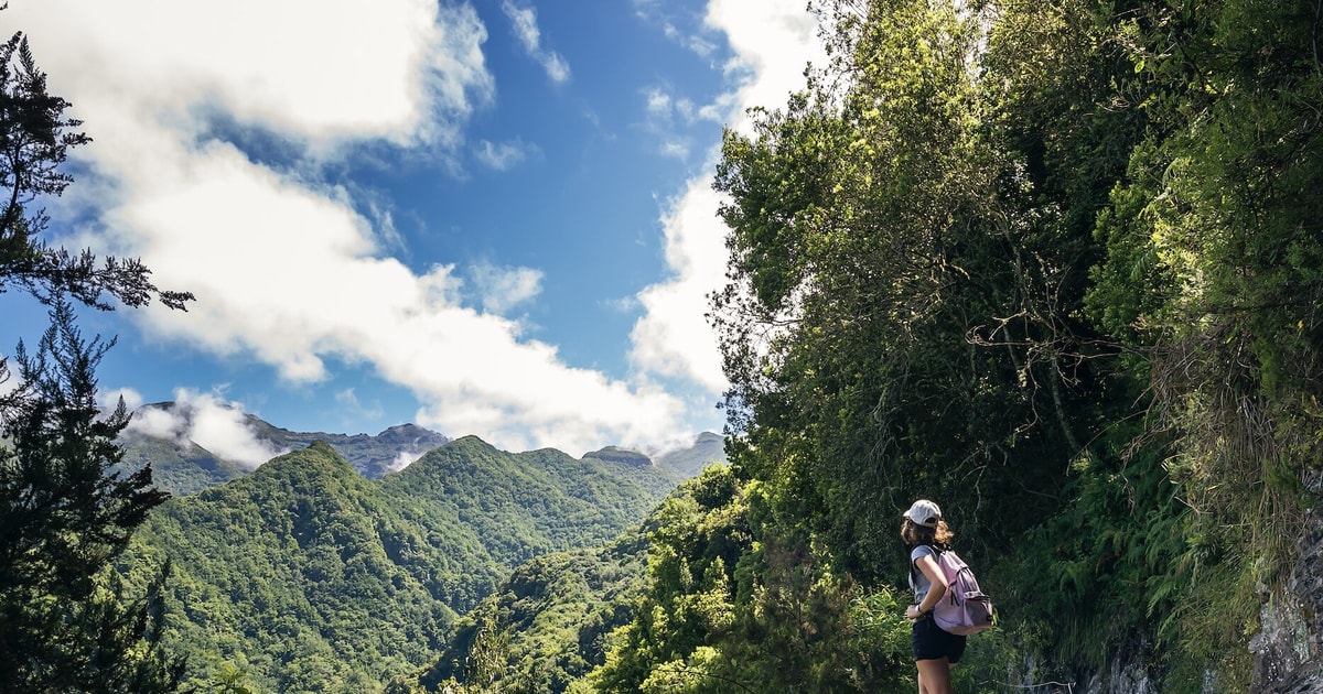 Hiking levadas of Madeira: Levada do Rei | GetYourGuide