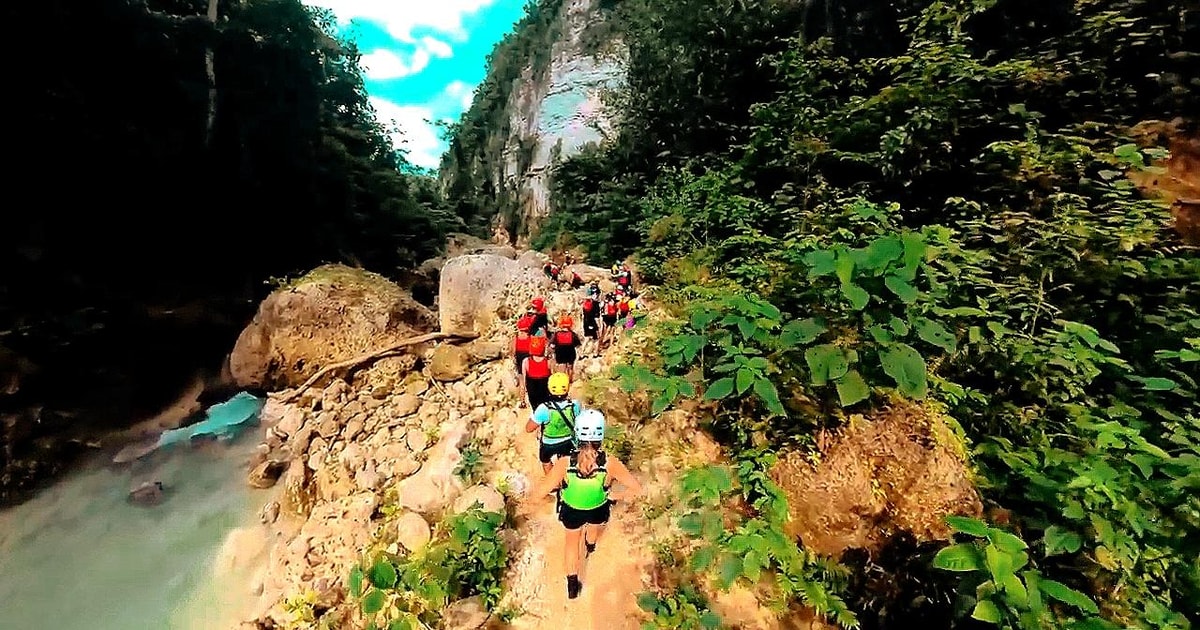 Cebu: Whale Shark Watching and Canyoneering Group Tour | GetYourGuide