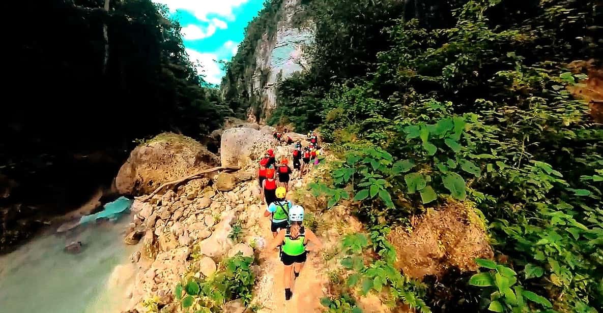 Cebu: Whale Shark Watching and Canyoneering Group Tour | GetYourGuide
