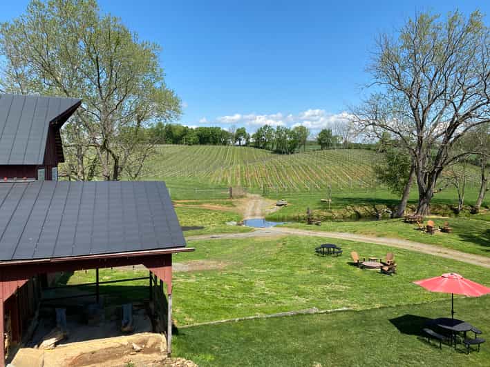 Visitas a Bodegas de Virginia: Experimenta las Bodegas de Virginia ...