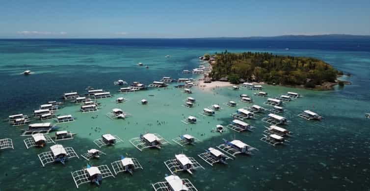 Oslob Whaleshark Watching Area, Oslob - Book Tickets & Tours | GetYourGuide