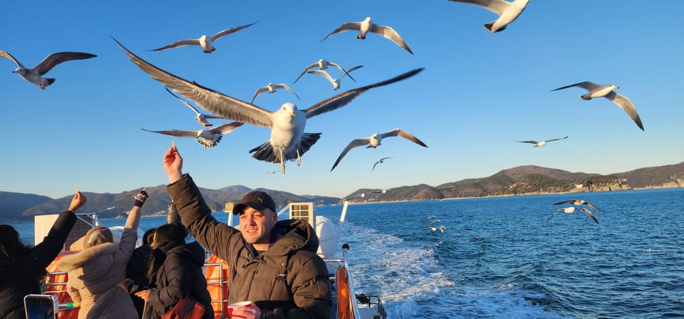 Geoje Island: Private or Shared Day Tours (Max 6) | GetYourGuide