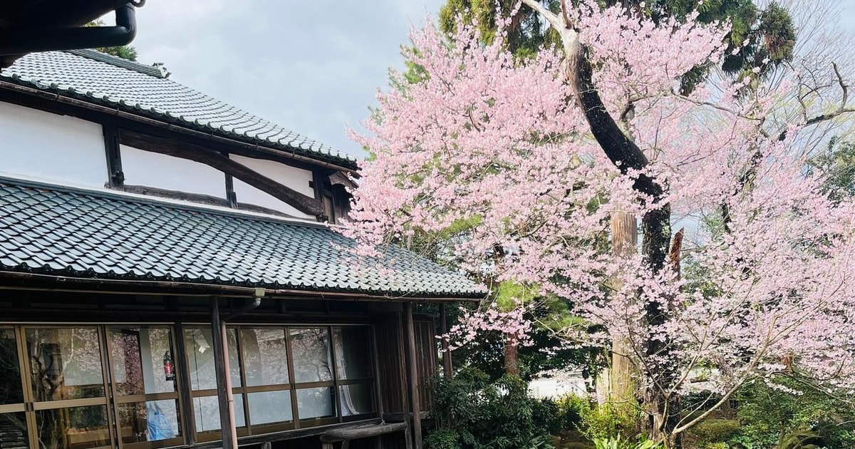 Silence Retreat at a Temple with English Speaking Monk | GetYourGuide