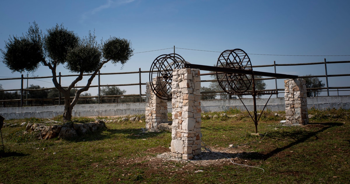 Puglia/Bari: Ebike Tour & Wine | GetYourGuide