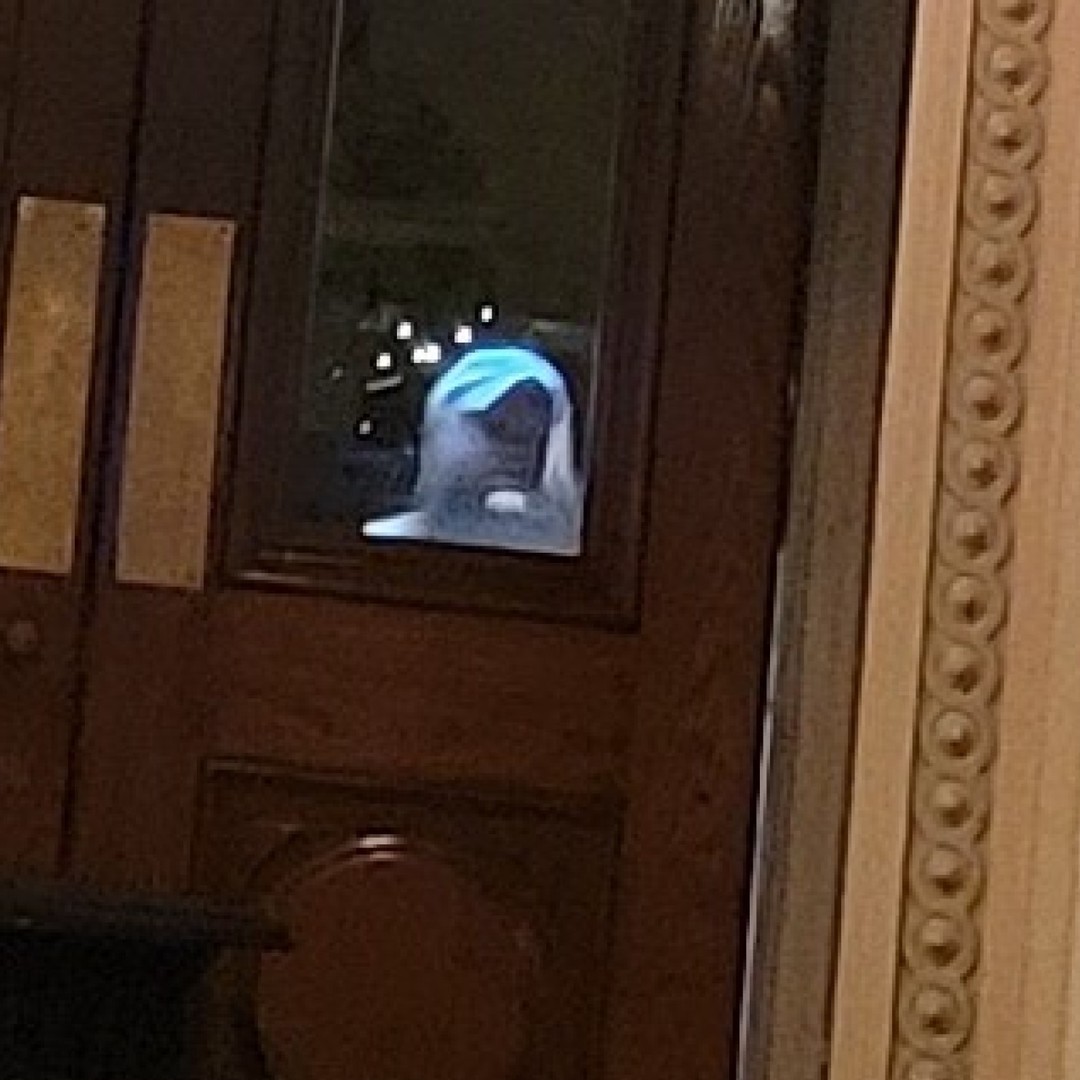 Chattanooga: Original Local Award-Winning Walking Ghost Tour | GetYourGuide