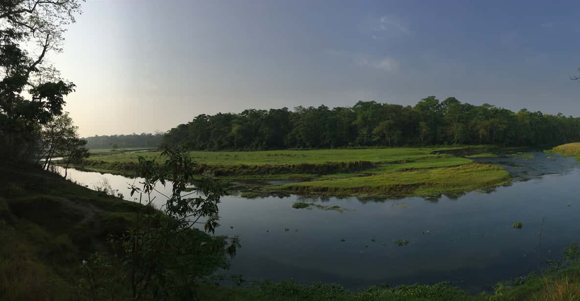 Jungle Safari | GetYourGuide