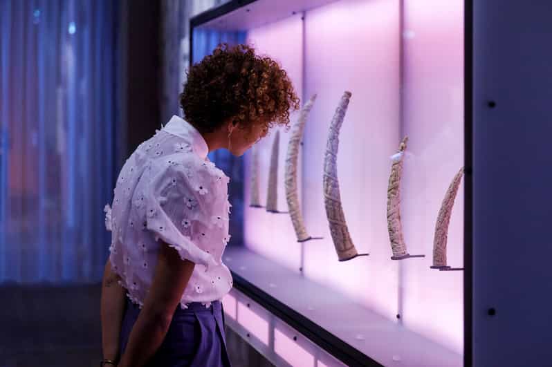 Rotterdam: Wereldmuseum Entry Ticket | GetYourGuide