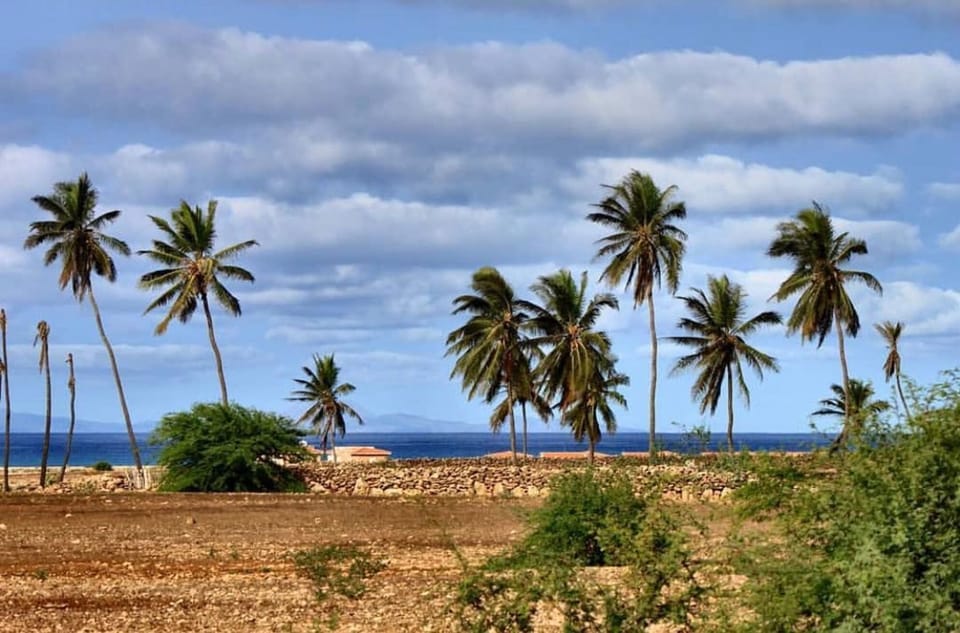 Descubre la isla de Maio en una excursión de 1 día | GetYourGuide