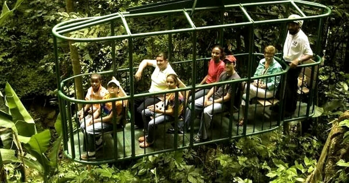 Rainforest Adventures Ultimate 3 with transfer | GetYourGuide