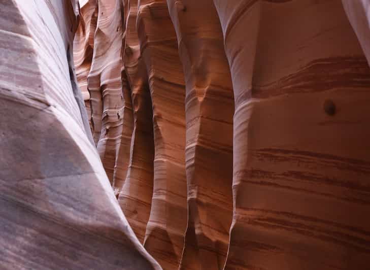 From Escalante: Zebra Slot Canyon Guided Tour and Hike | GetYourGuide