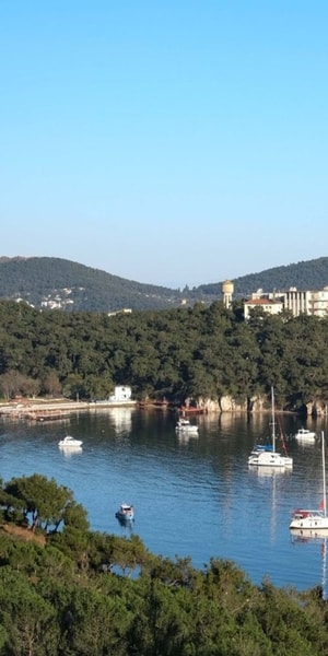 Istanbul: Princes' Islands Tour with Lunch and Transfers | GetYourGuide