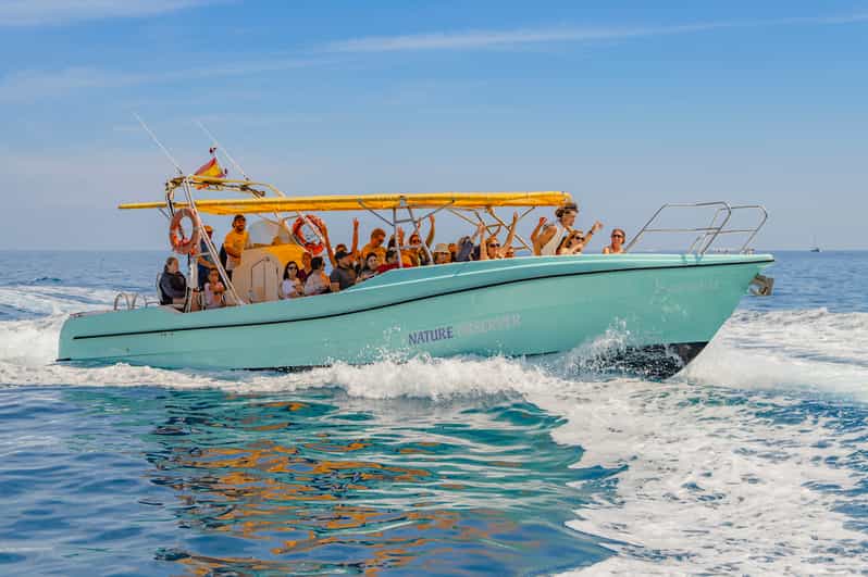 Alcudia: Boat trip Formentor & Sa Fortaleza | GetYourGuide