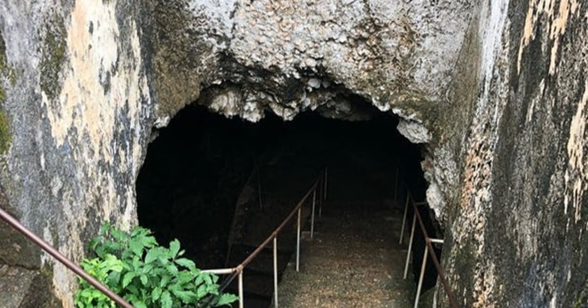 Zanzibar: Mangapwani Historical Cave | GetYourGuide