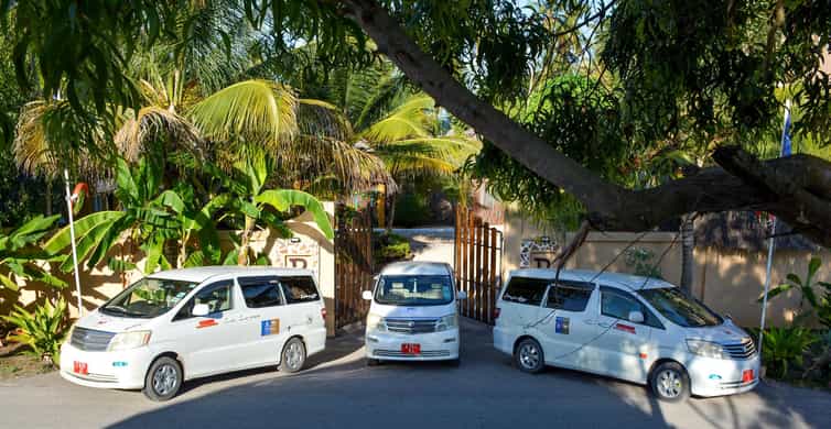 Spice Farm Tour- half day | GetYourGuide