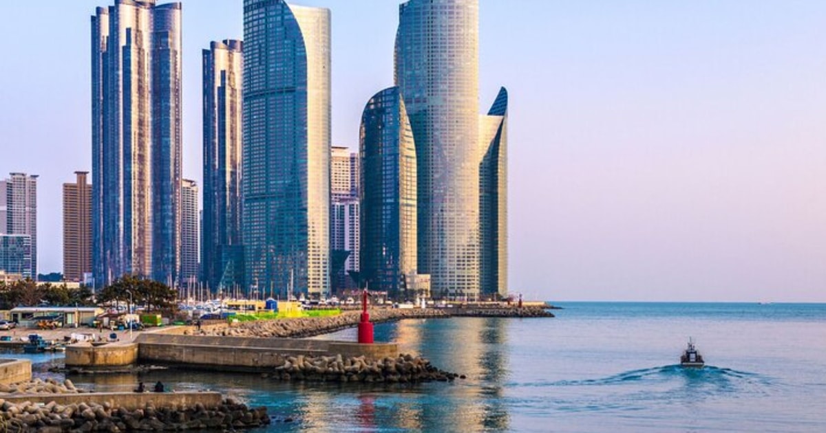 Busan: Private custom tour with a local guide | GetYourGuide