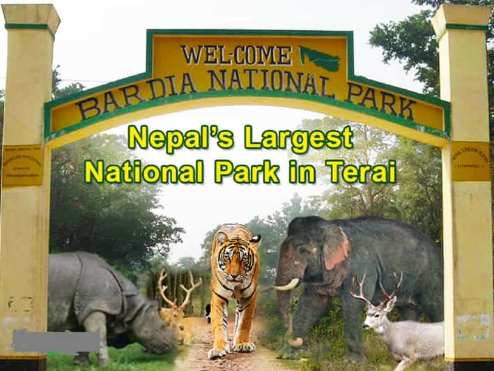 From kathmandu: Guided 3-Days Bardia National Park Tour | GetYourGuide