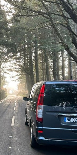 Madeira: Western Madeira Guided Trip & Fanal Mystic Forest | GetYourGuide