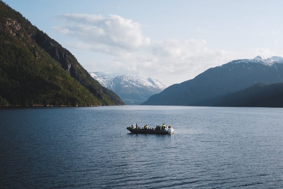 Ulvik fjord explore: Hardangerfjord & Osafjord RIB Adventure | GetYourGuide