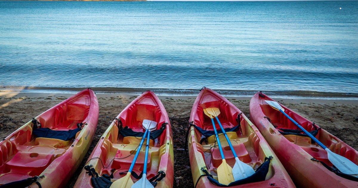 Kayak and Snorkeling Eco- Experience with Snack and Drinks | GetYourGuide