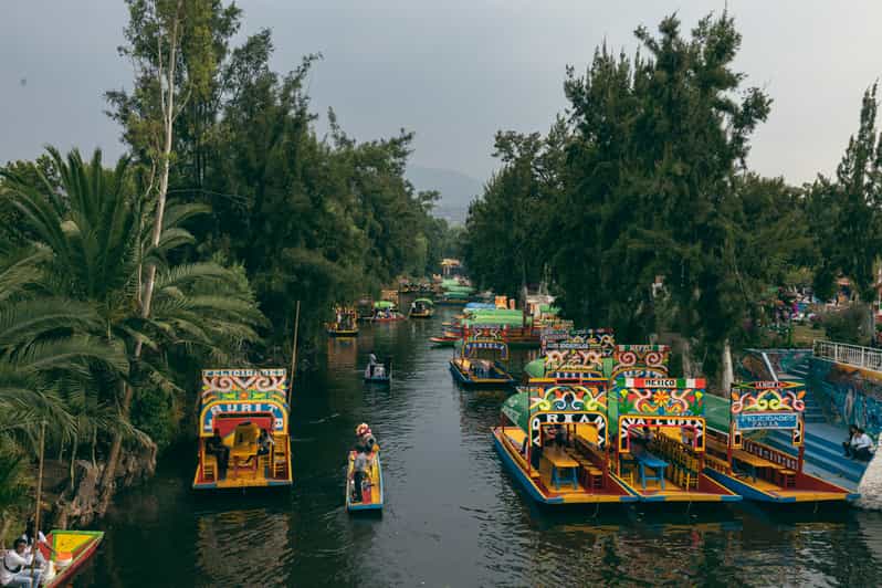 Mexico: Coyoacan & Xochimilco VW bus, Boat ride & brunch | GetYourGuide