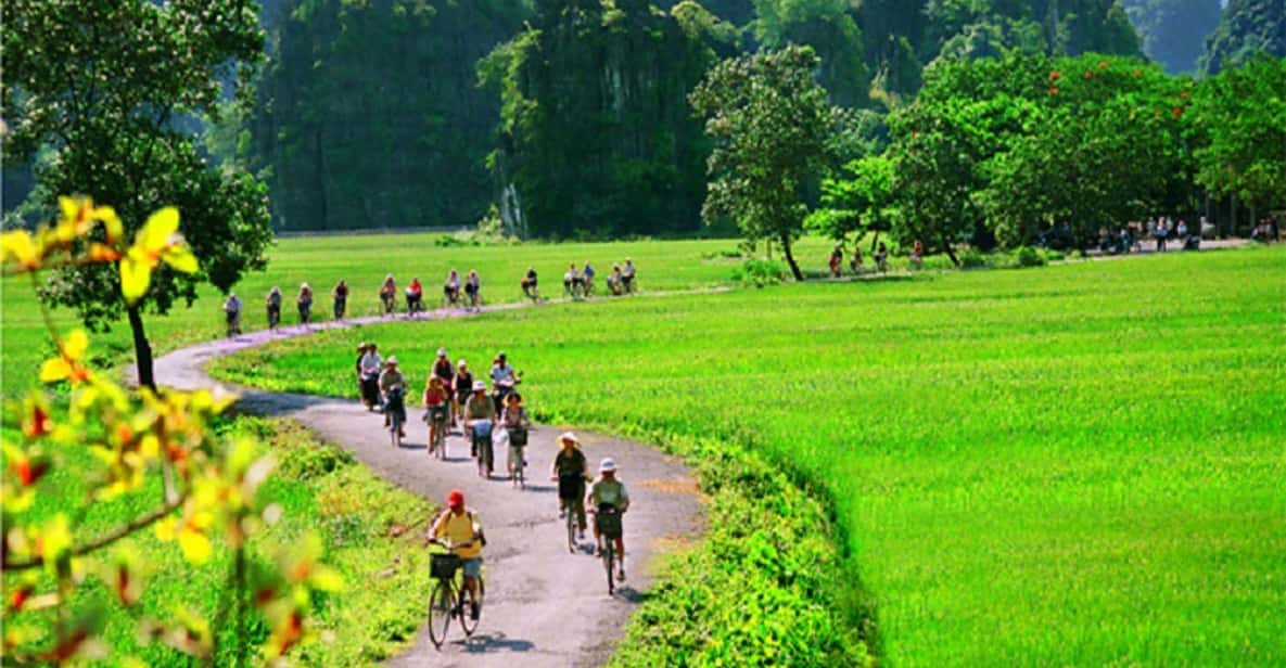 Tam Coc - Bich Dong - Valea Păsărilor Turul cu bicicleta | GetYourGuide