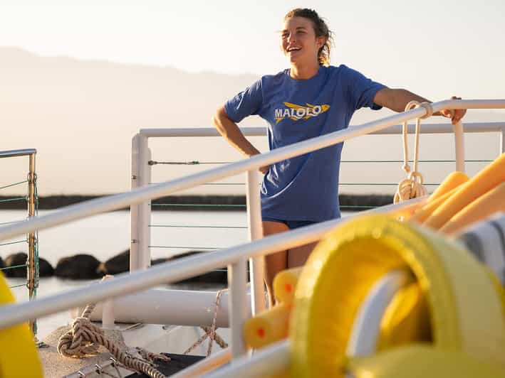 Ma'alaea Harbor: Sunset Cocktail Cruise on a Malolo Boat | GetYourGuide