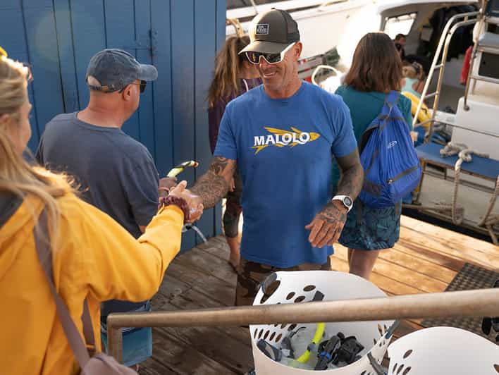 Ma'alaea Harbor: Sunset Cocktail Cruise on a Malolo Boat | GetYourGuide