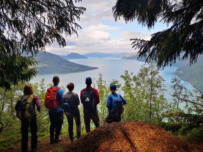 Hiking - Full day | GetYourGuide