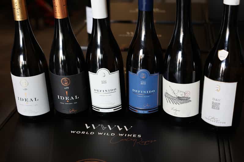 Portugal: Dao Winery Tour, Barrel Tasting and Wine Tasting | GetYourGuide