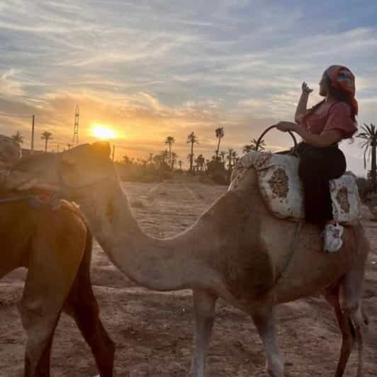 Full Package Quad, Camel,Dinner in jbilet deset & palm grove | GetYourGuide