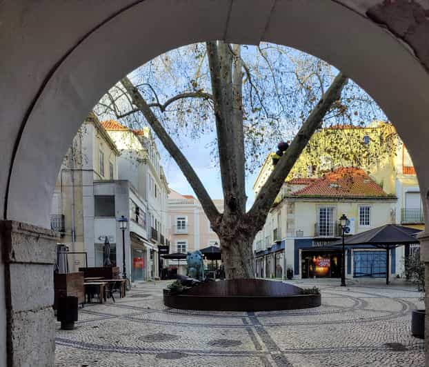 Setúbal Private Walking Tour with Tasting | GetYourGuide