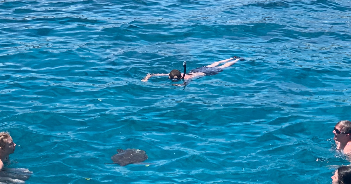 Protaras: Luksusyacht til Turtle Cove med grill og 1 vin/sodavand ...