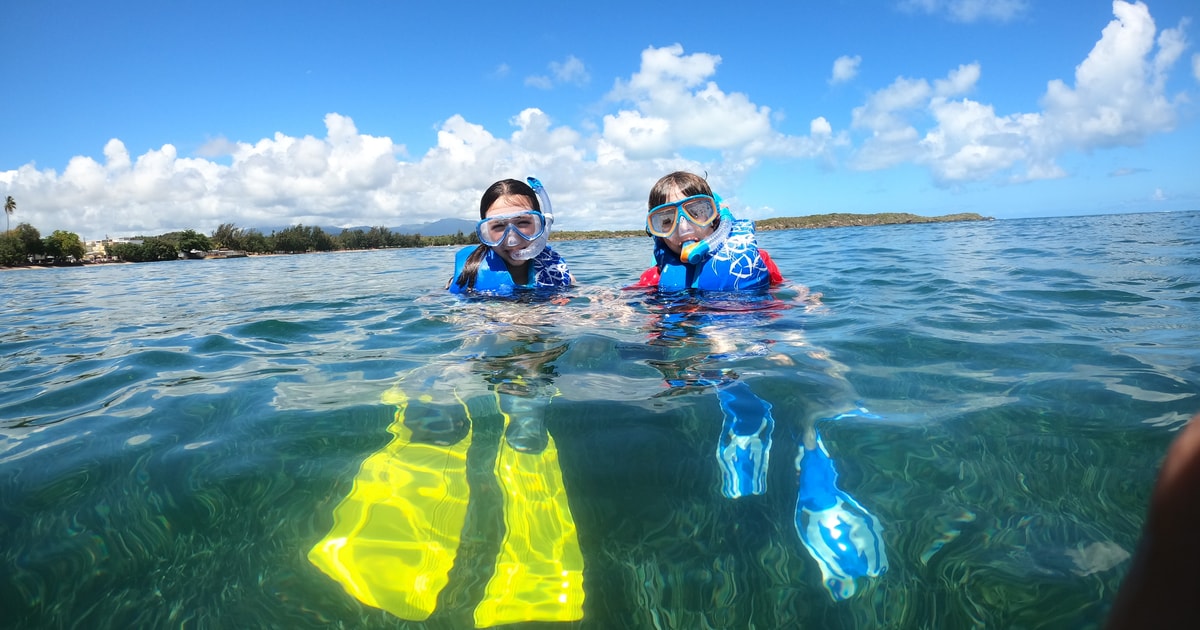 Snorkeling Lessons & Interactive Experience with snacks | GetYourGuide