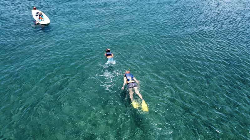 Snorkeling Lessons & Interactive Experience with snacks | GetYourGuide