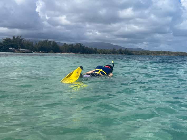 Snorkeling Lessons & Interactive Experience with snacks | GetYourGuide