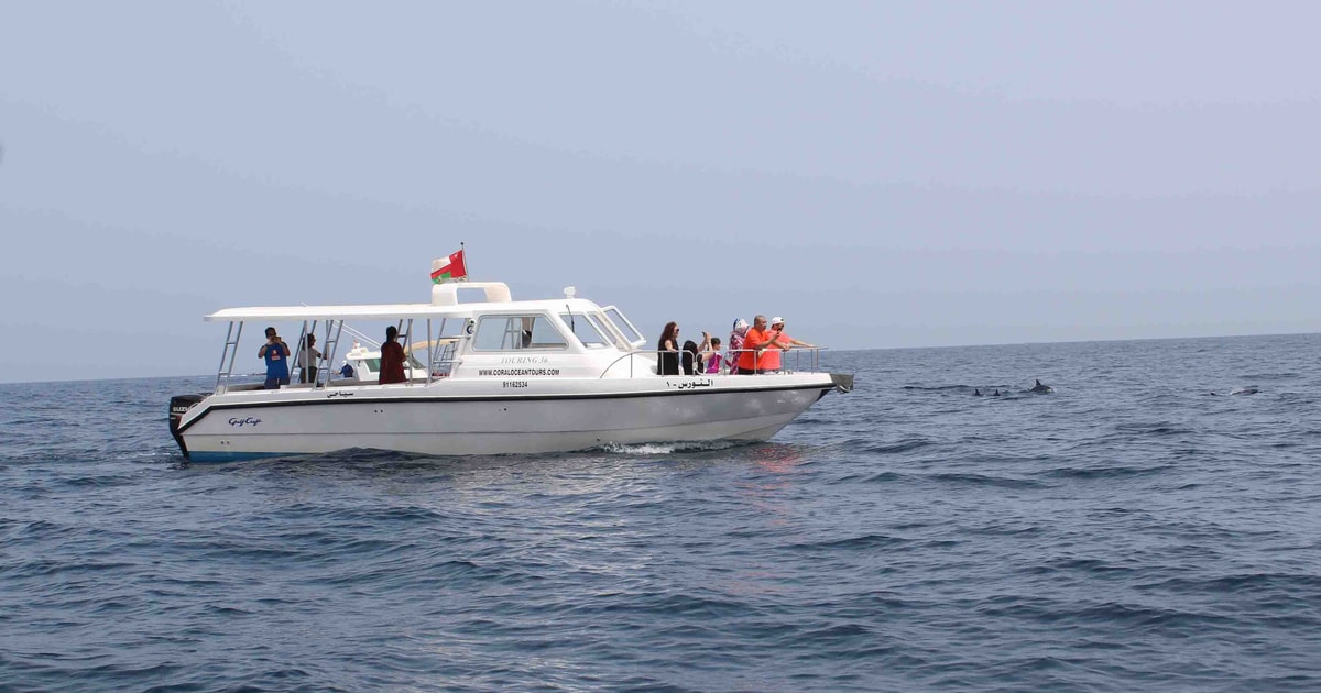 Muscat: Dolphin Watching and Snorkeling Tour By Speed Boat | GetYourGuide