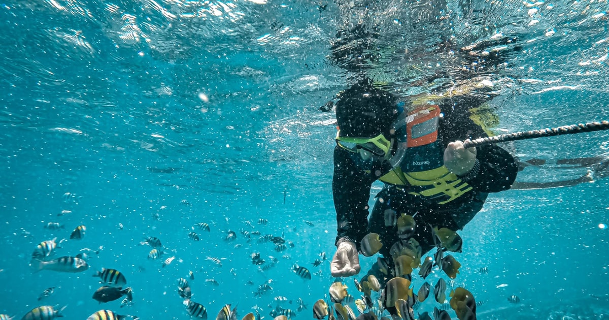 Hidden Gili's Lombok Snorkeling Daily Tour | GetYourGuide