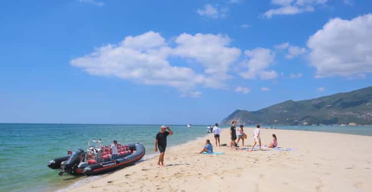 Setúbal: Dolphin Observation Tour | GetYourGuide