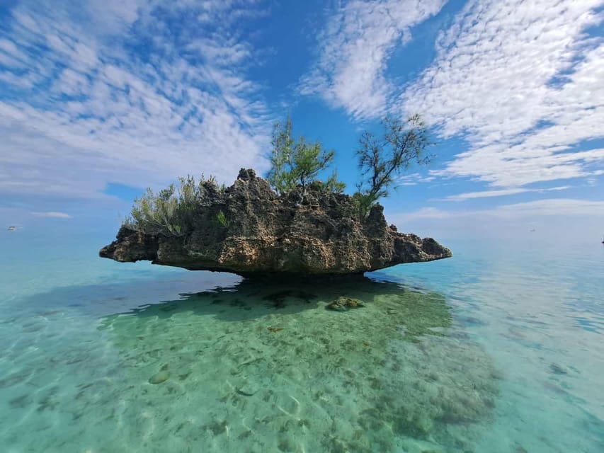 Tamarin: Dolphin Swim, Snorkeling, Crystal Rock, & Beach BBQ | GetYourGuide