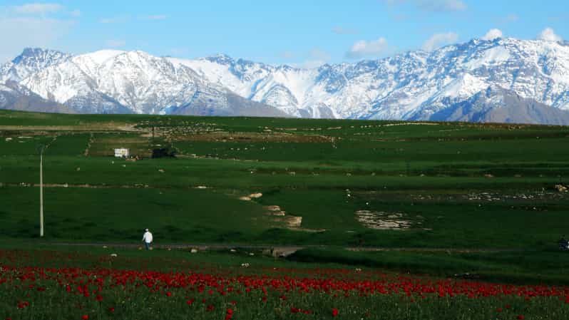 Z Marakeszu: góra Atlas, wioski berberyjskie, wycieczka jednodniowa ...