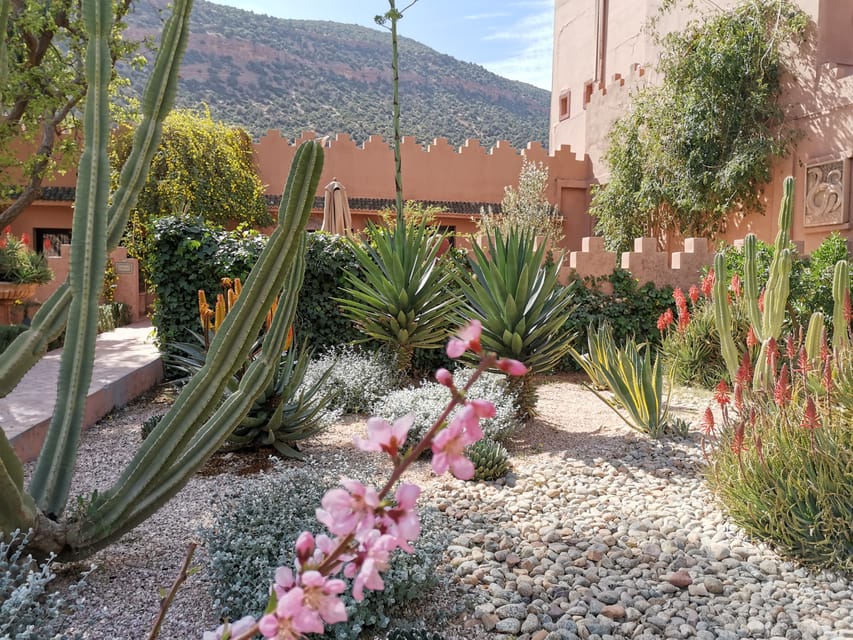 Z Marakeszu: góra Atlas, wioski berberyjskie, wycieczka jednodniowa ...