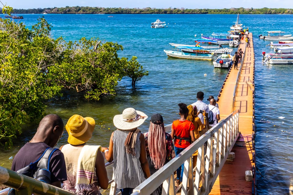 Wasini Island: Dolphin Spotting & Snorkel at Kisite Mpunguti | GetYourGuide