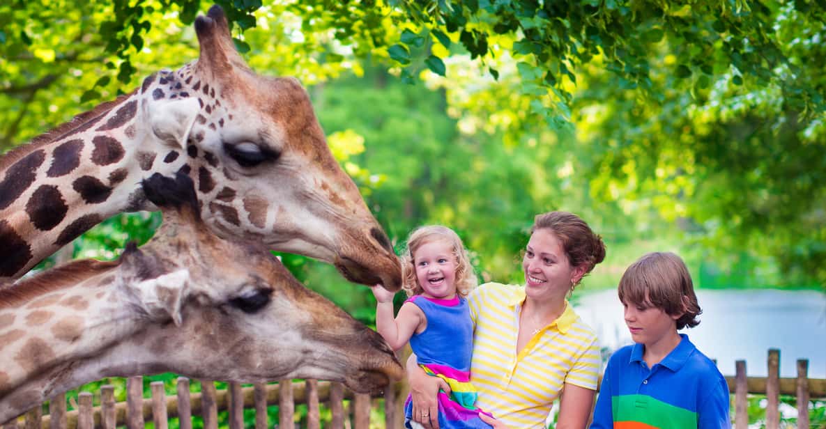 Krakow: Zoo Tour with Private Transport and Tickets | GetYourGuide
