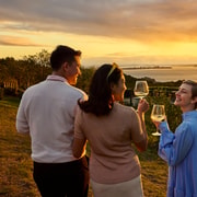 Auckland: Waiheke Golden Evening Wine Tour & Sunset Dining - 2026 ...