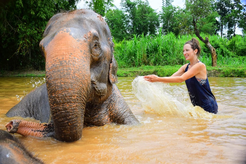 Elephant care with Wat Umong, Doi Suthep and Night City view | GetYourGuide