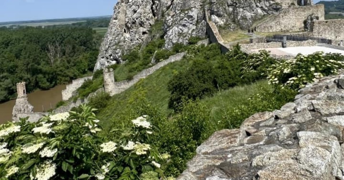 Bratislava: Gran Recorrido por la Ciudad con el Castillo de Devin ...