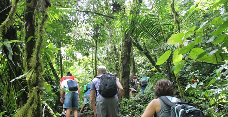 From Fortuna: 2 Day Hike to Monteverde with Hotel Transfer | GetYourGuide
