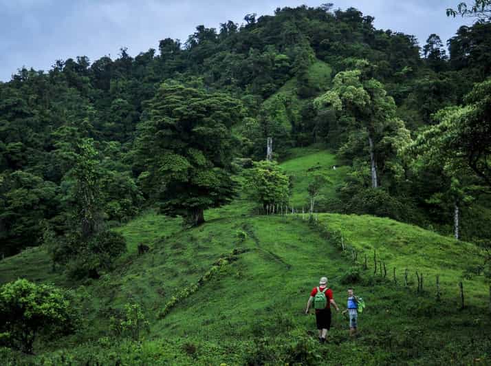 From Fortuna: 2 Day Hike to Monteverde with Hotel Transfer | GetYourGuide