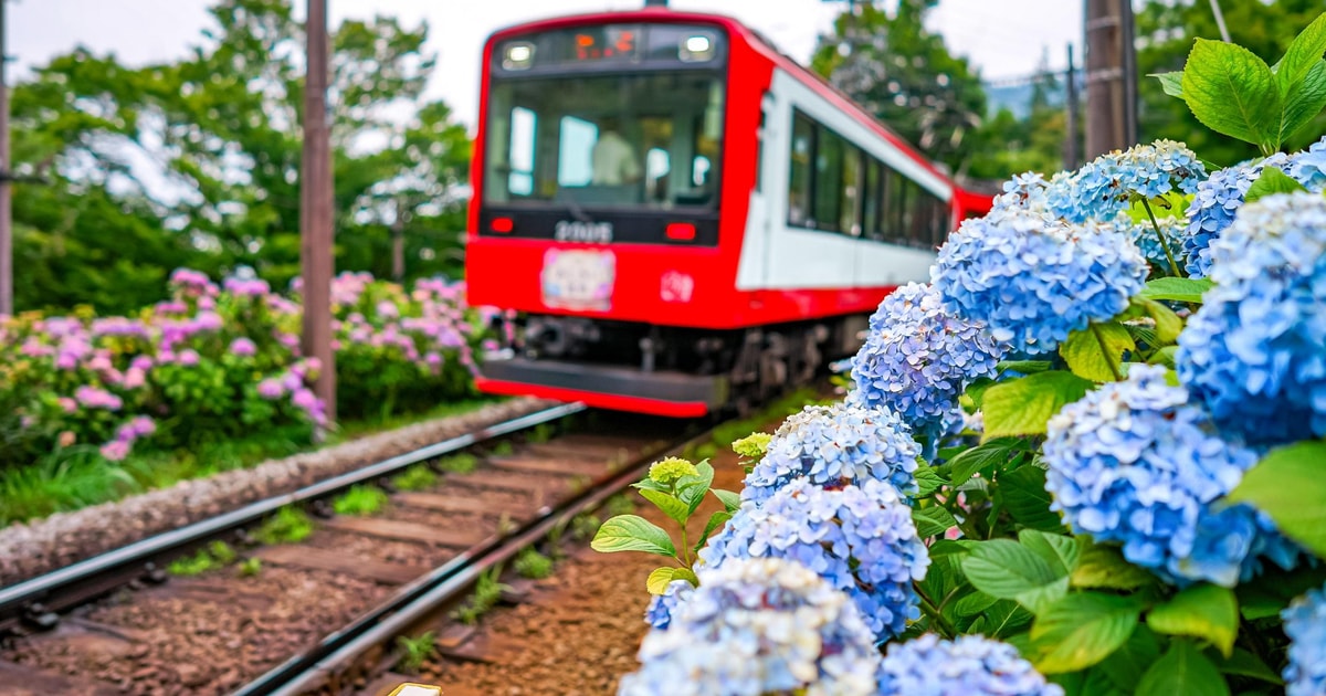 Hakone: Day Tour with Hydrangea Train, Pirate Ship, & Lunch | GetYourGuide